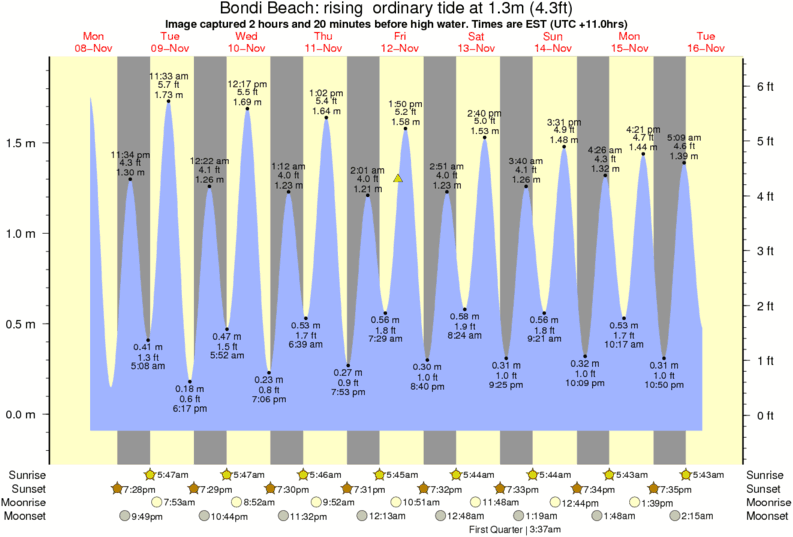 Fotos de Surf de Bondi Beach por GIANNI BERT | 11:30 am 12 Nov 2010